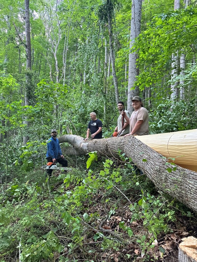 Barkclad's Poplar Tree Bark Siding Story | Barkclad Bark Siding