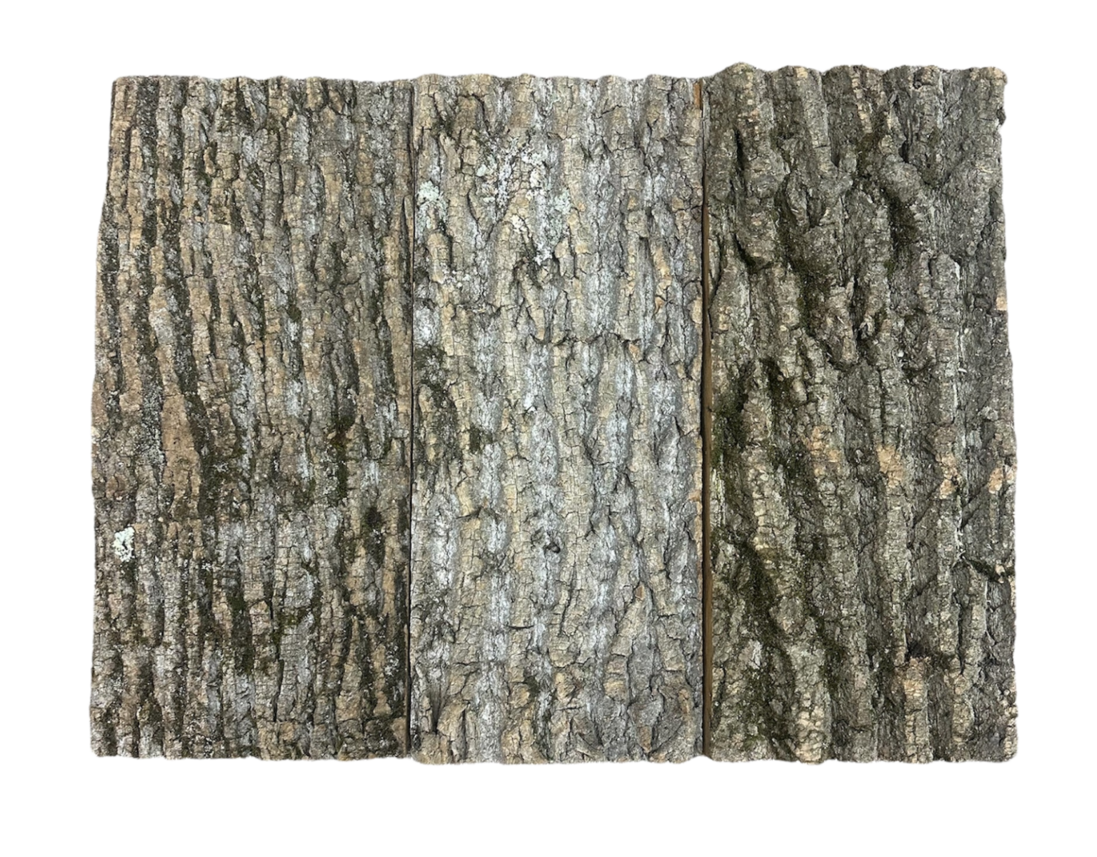Natural Poplar Bark Sample - BarkClad Bark Poplar Siding | Natural ...